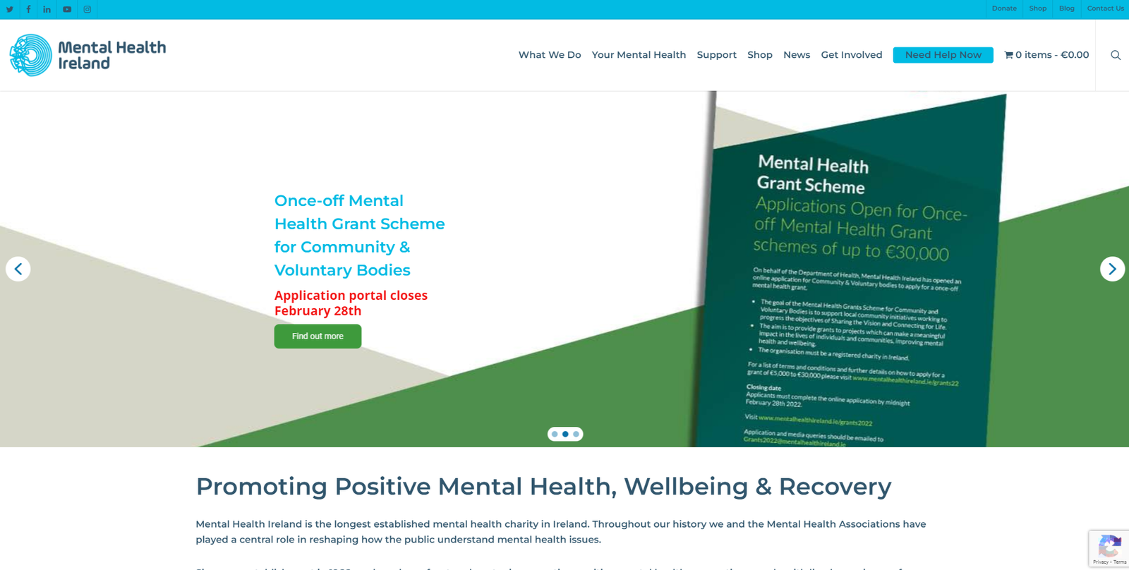 Mental Health Ireland | Marquee Solution Mental Health Ireland | Marquee Solution